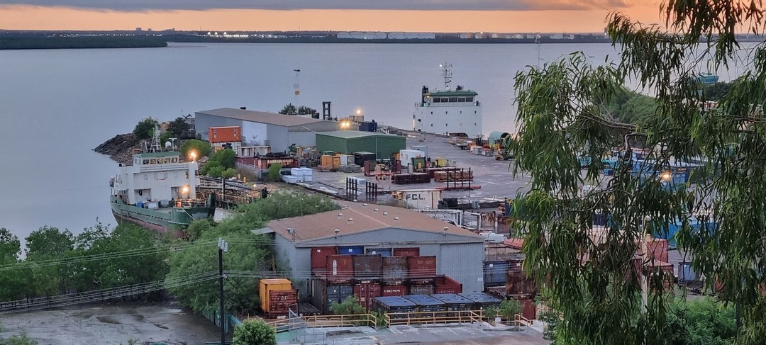 Fresh Australian Prawns – Austfish's Best Quality Catch