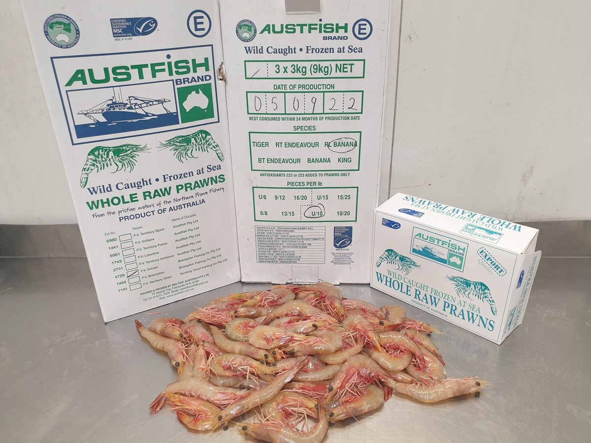 Fresh Australian Prawns – Austfish's Best Quality Catch